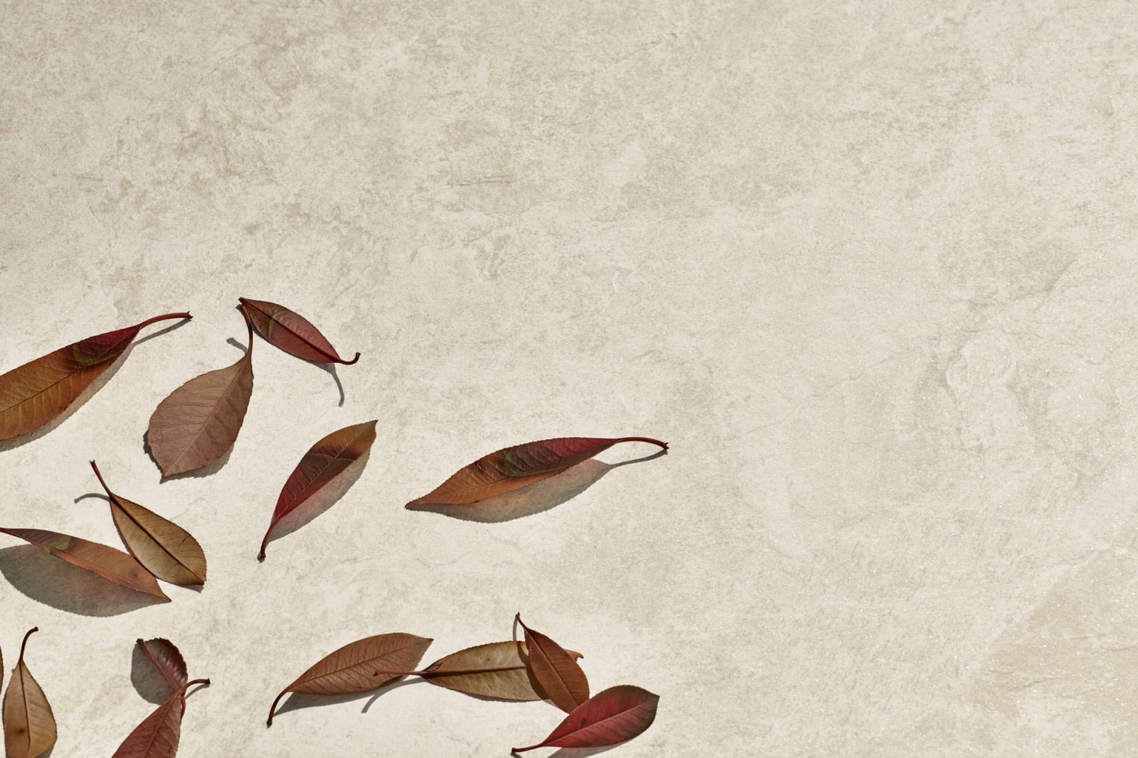 Alpine Italian Porcelain Tile Flooring | The TilePortfolio